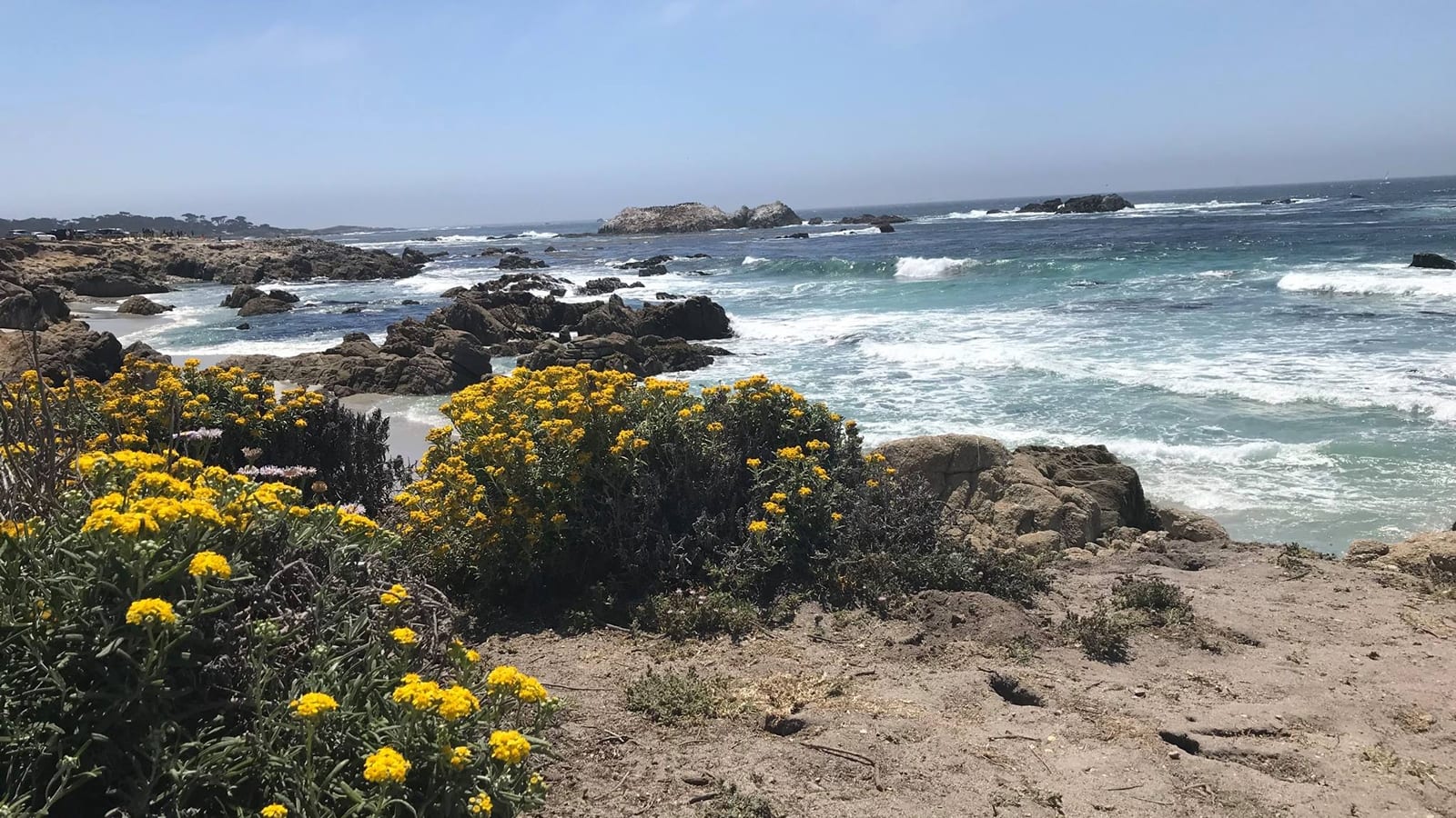 CentralApp Trailblazers: Jacob Aust, Salesforce Developer | CentralApp